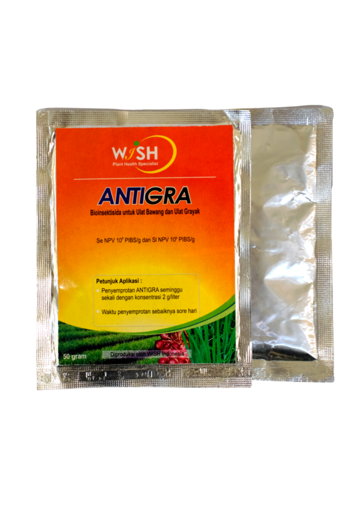 Antigra - Wish Indonesia