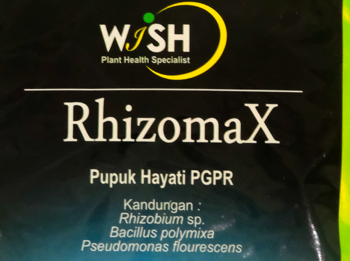 WiSH Indonesia - Wish Indonesia